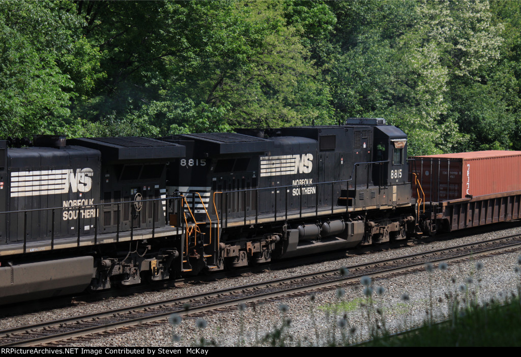NS 8815
